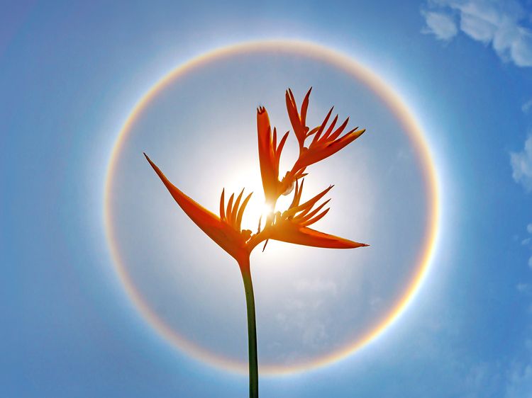 Sunglass Hut Under One Sun Platform | Sunglass Hut®