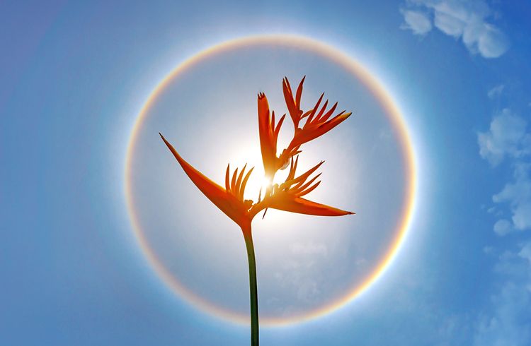 Sunglass Hut Under One Sun Platform | Sunglass Hut®