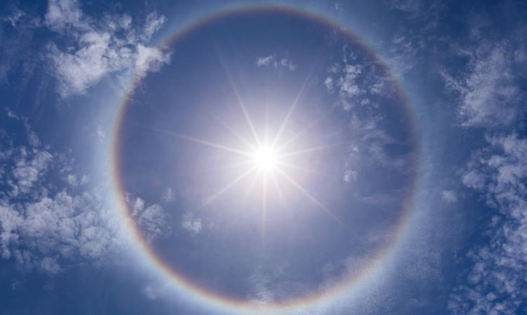 Sunglass Hut Under One Sun Platform | Sunglass Hut®