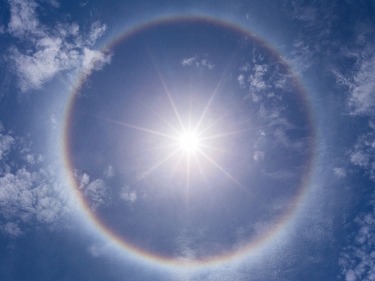 Sunglass Hut Under One Sun Platform | Sunglass Hut®